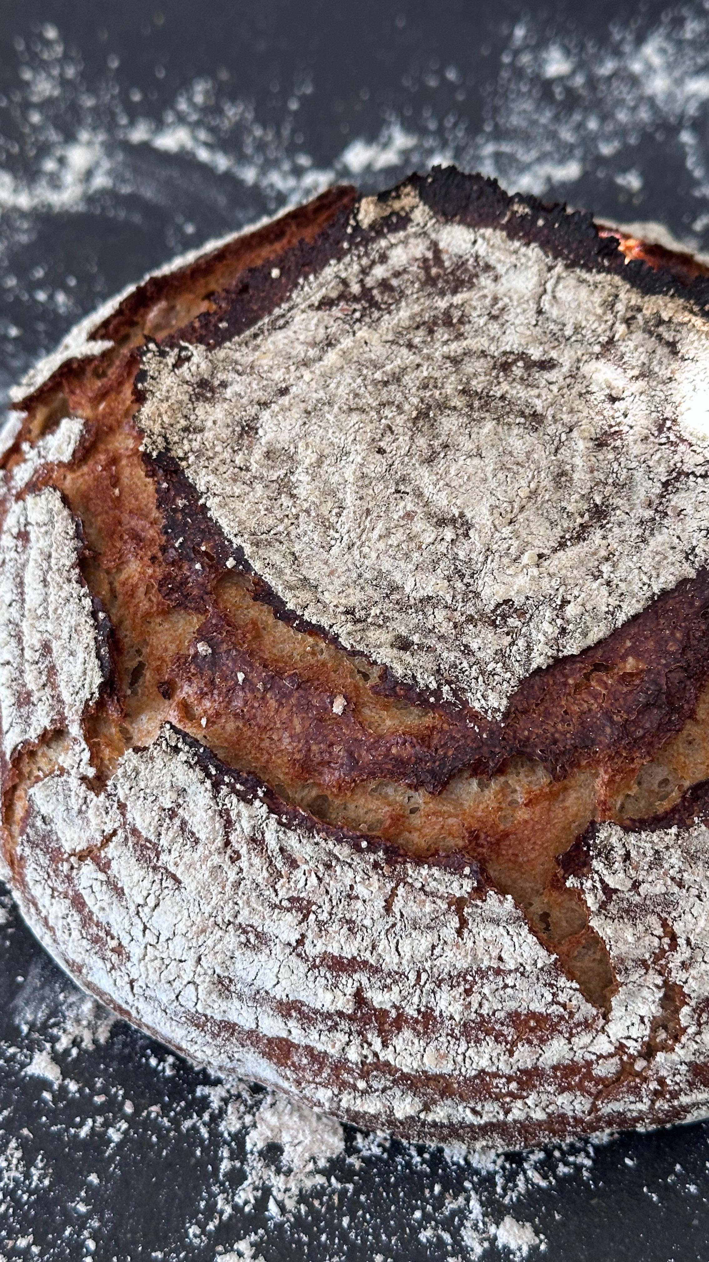 Einfache Sauerteigbrötchen – FRAUHÜGELS KÜCHE