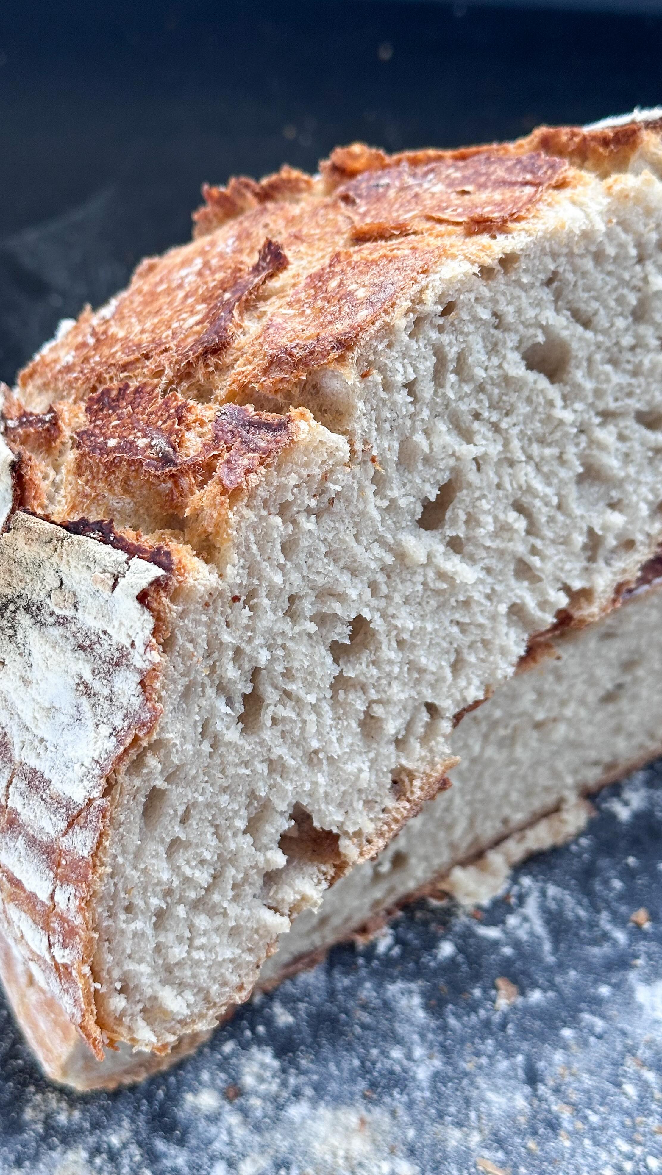 Einfache Sauerteigbrötchen – FRAUHÜGELS KÜCHE